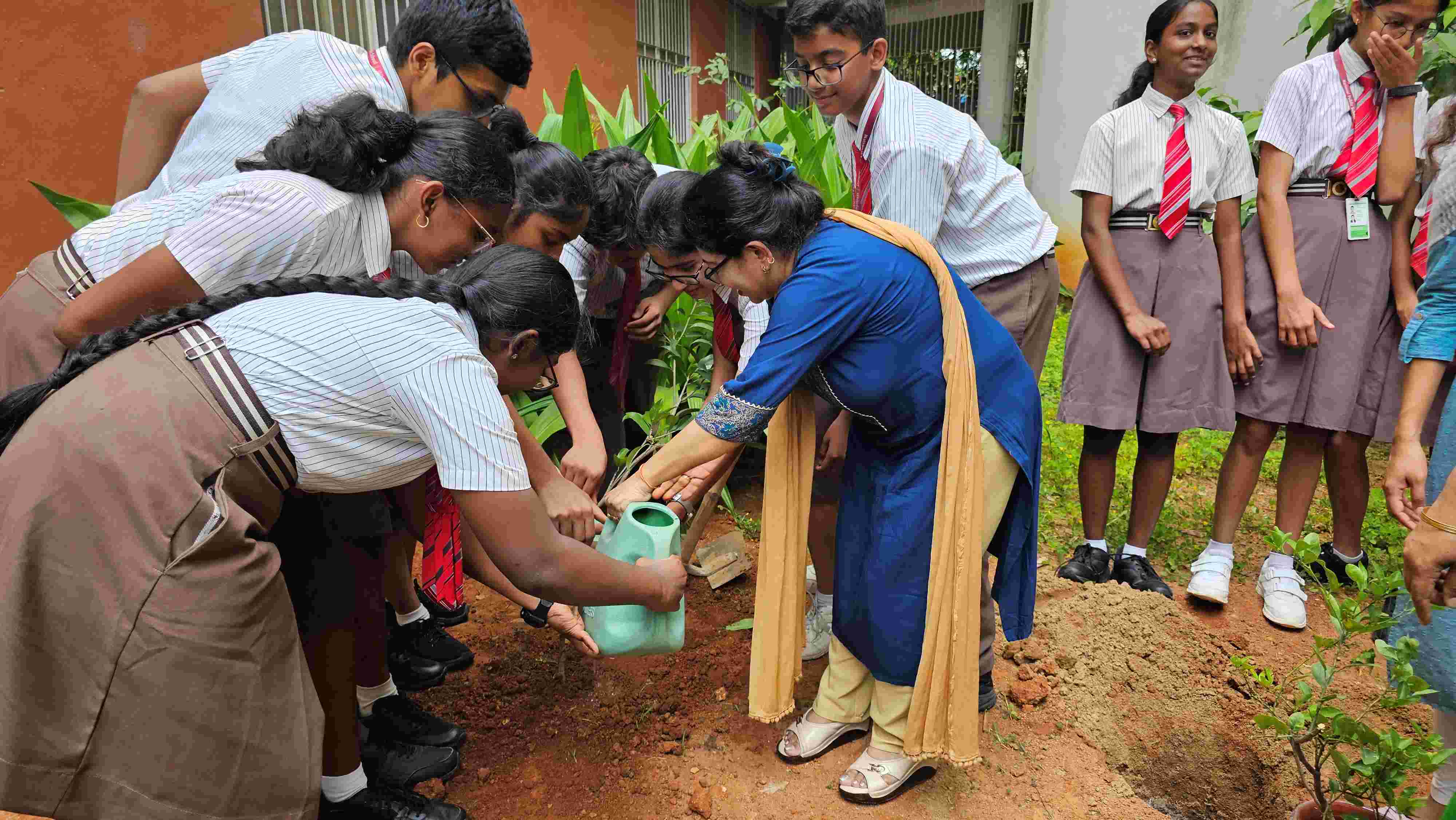 Plantation Drive | National Public School