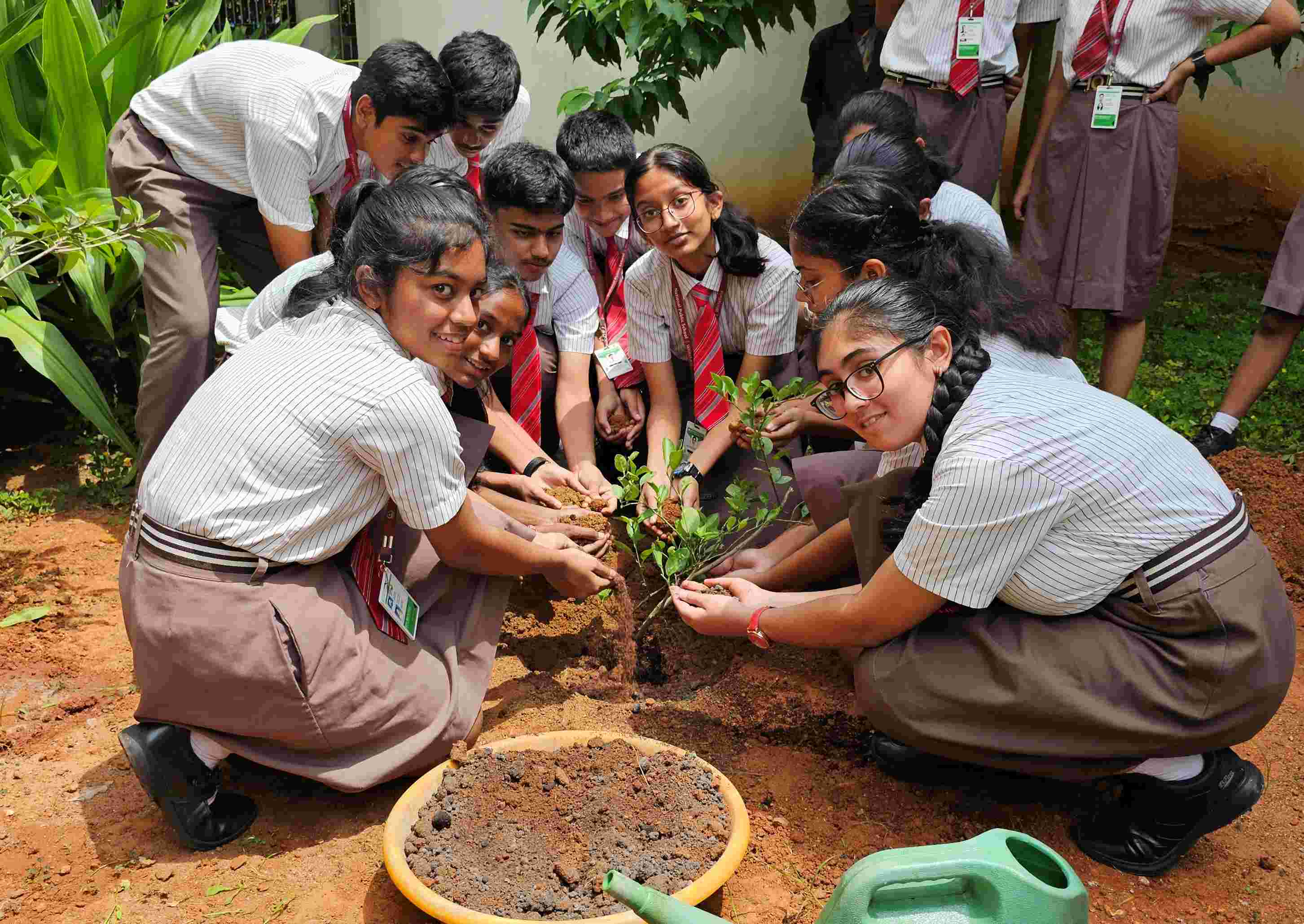 Plantation Drive | National Public School